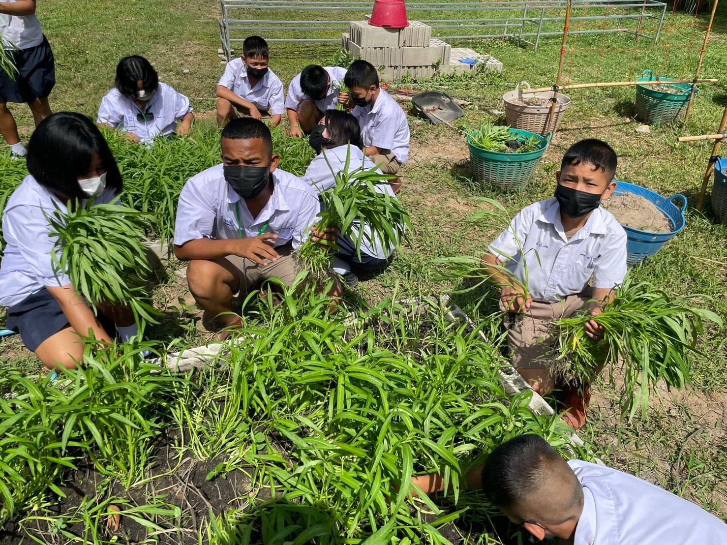 Child Impact | กิจกรรม เลือกดี กินเป็น เน้นสุขภาพ